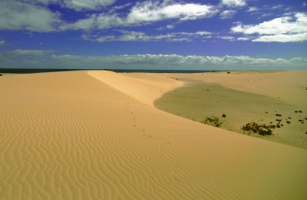 1st CMAS World Championships of Underwater Video - Canary Island, Spain