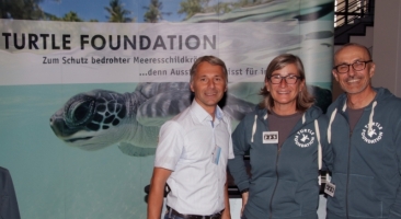 CMAS meets Turtle Foundation
